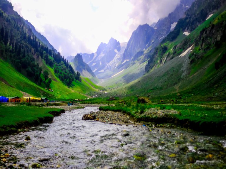 Sonamarg vs. Gulmarg: Which Destination Should You Choose?