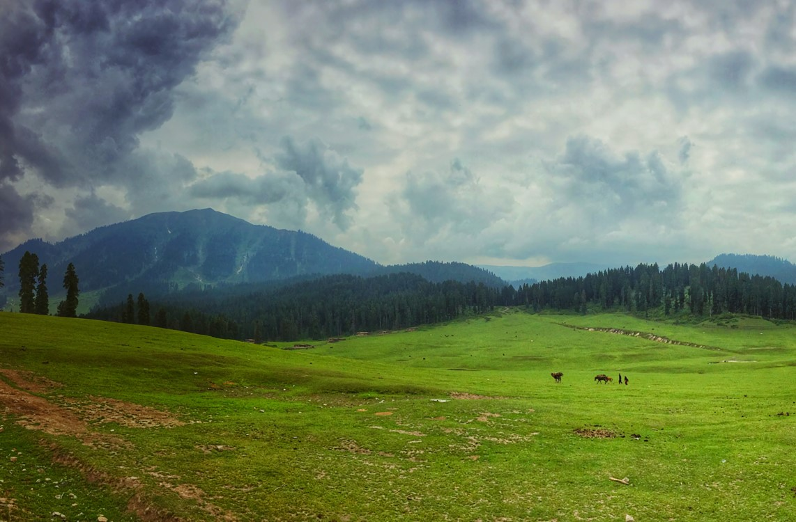 Virtual Tours of Kashmir: Explore From The Comfort of Home